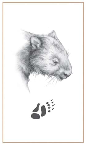 Australian made gifts & souvenirs: Wombat print necklace